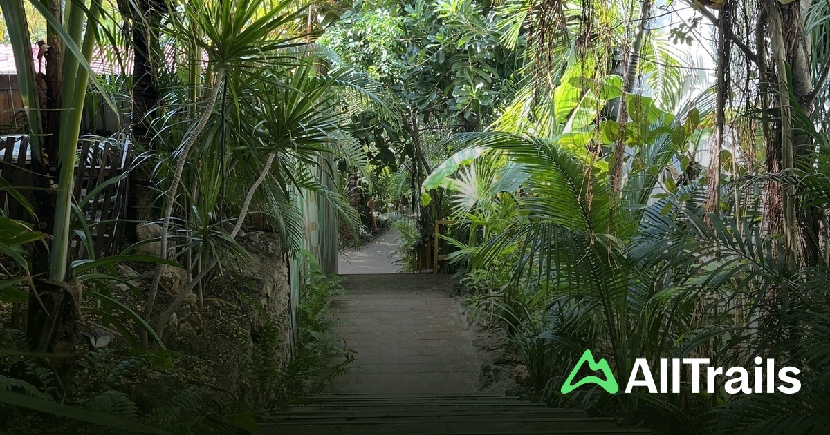 Dolphin Discovery - hikes and trails to get you there | AllTrails
