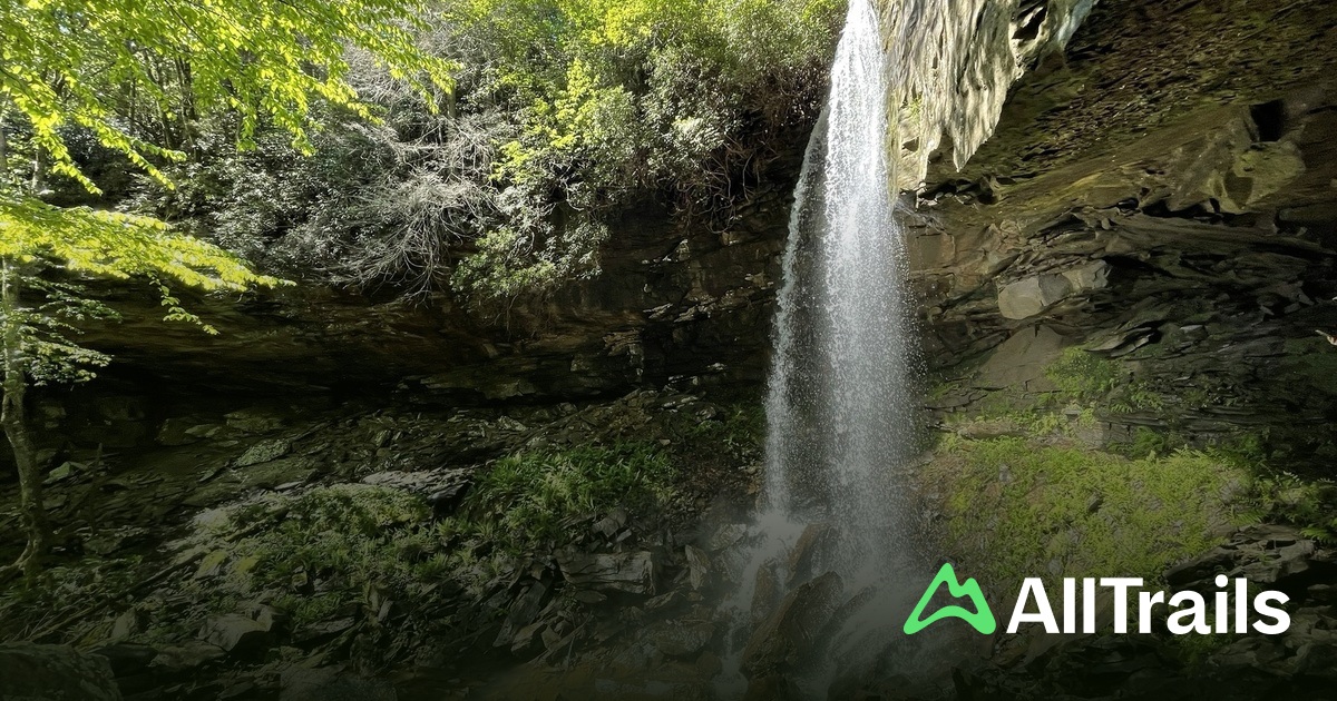 Collins River Overlook - hikes and trails to get you there | AllTrails