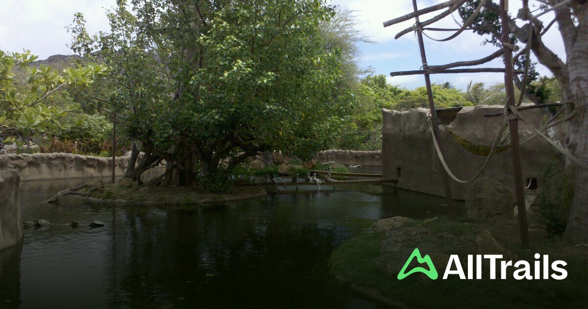 Tiger - hikes and trails to get you there | AllTrails
