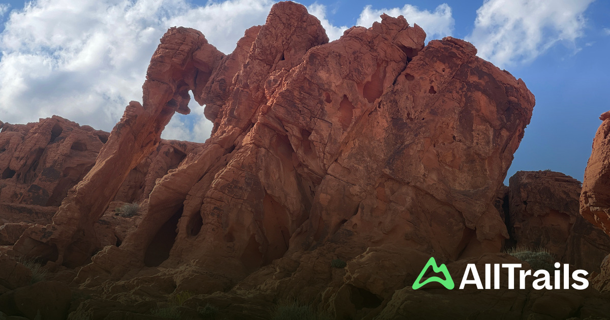 Petrified Log - hikes and trails to get you there | AllTrails