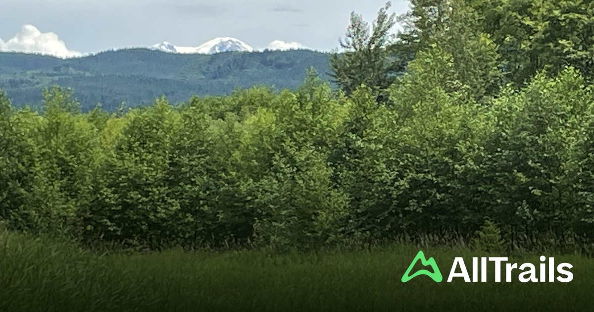 Riffe Lake - hikes and trails to get you there | AllTrails