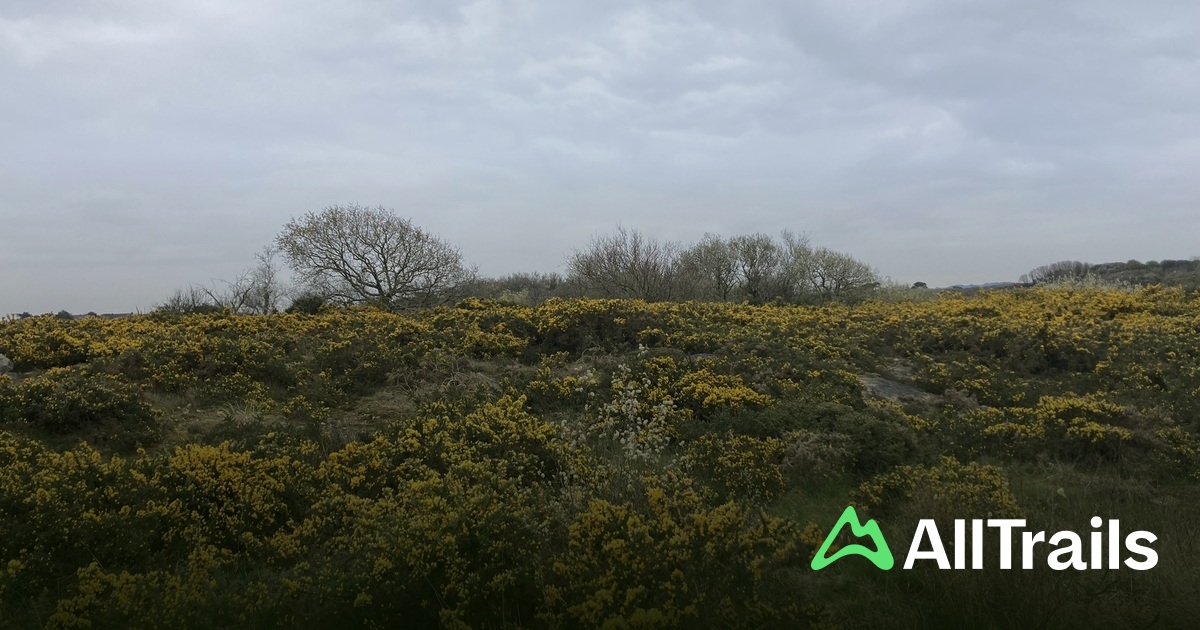 Bedste ruter i nærheden af Plage des Sables Rouges | AllTrails