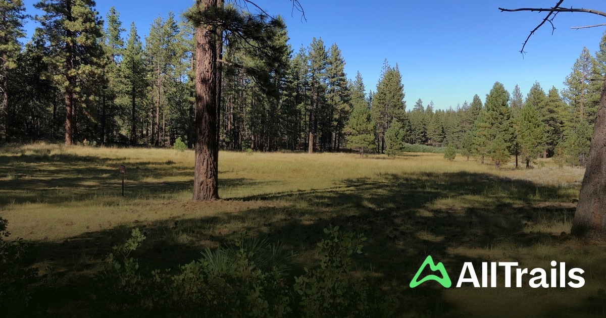 Pine Cove : les meilleures randonnées | AllTrails