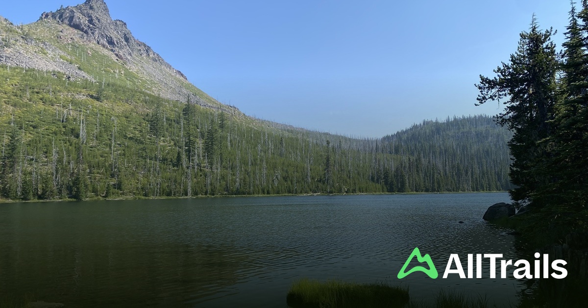 I migliori sentieri vicino a View Point | AllTrails