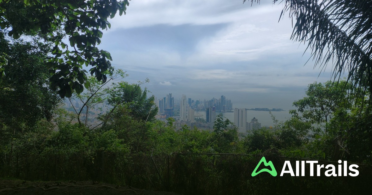 Mirador del Cerro Ancón - hikes and trails to get you there | AllTrails