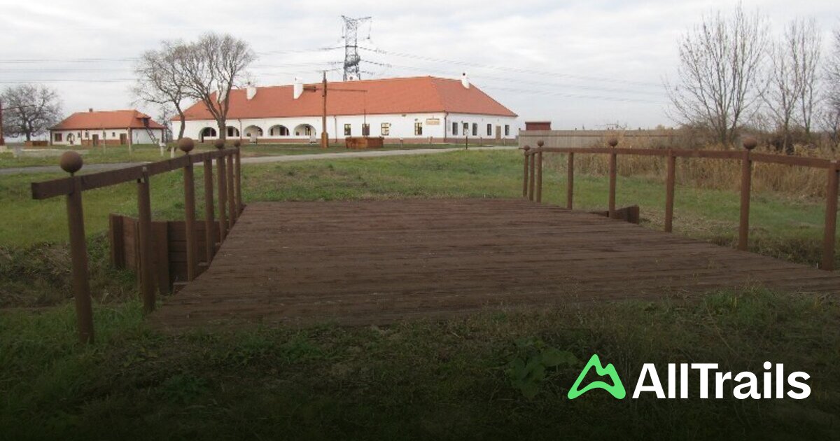 madár megfigyelő pihenő: Die besten Routen in der Umgebung | AllTrails