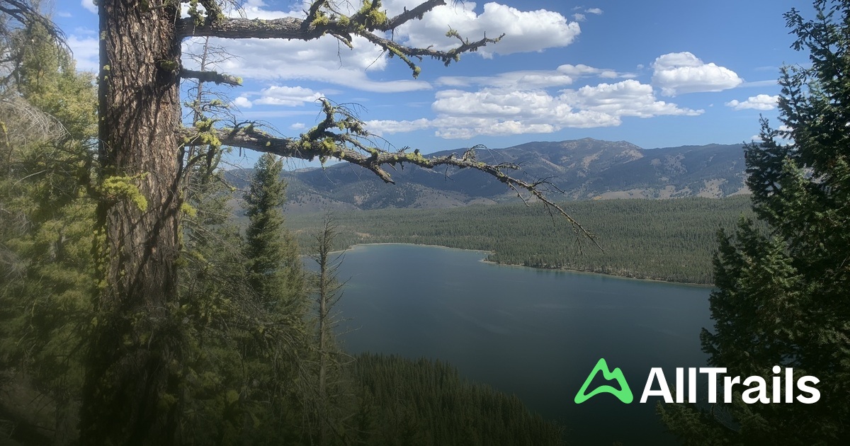I migliori sentieri vicino a Redfish Outlet Campground | AllTrails