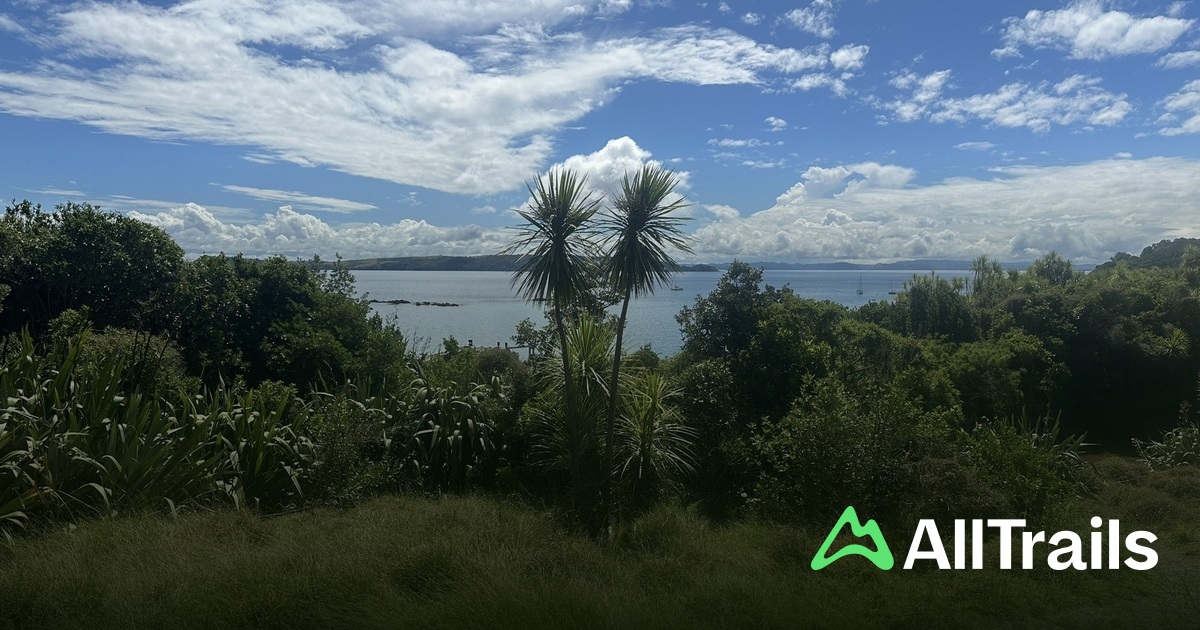 Tiritiri Matangi Island - hikes and trails to get you there | AllTrails
