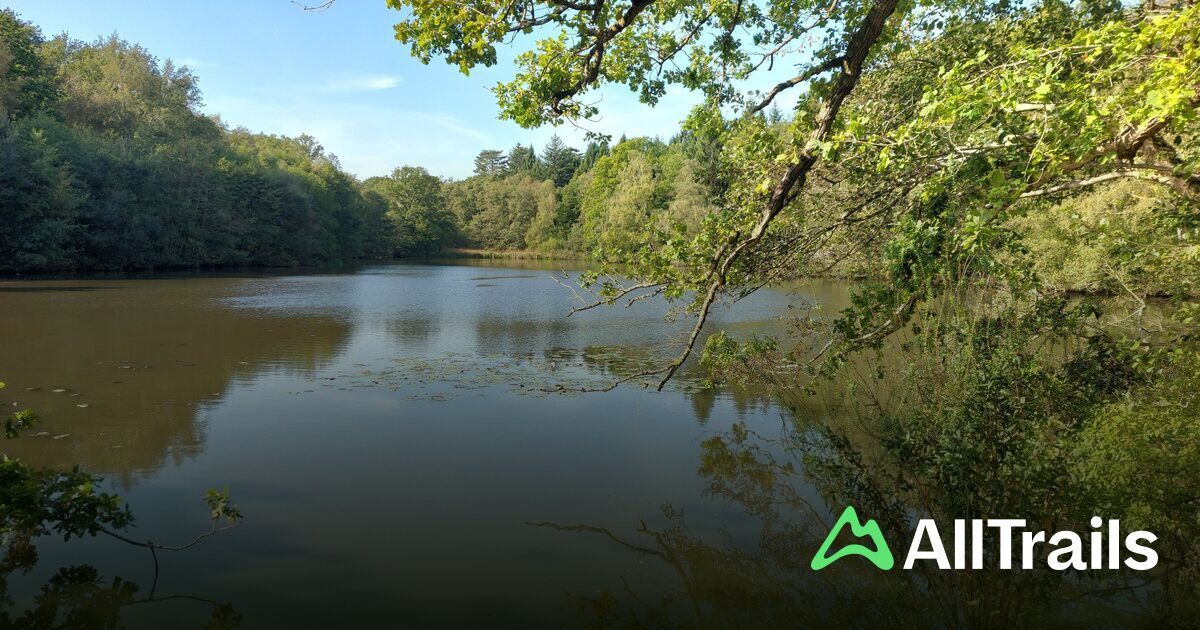 Kiln Pond - hikes and trails to get you there | AllTrails