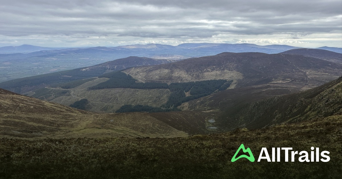 Best trails near The Vee | AllTrails