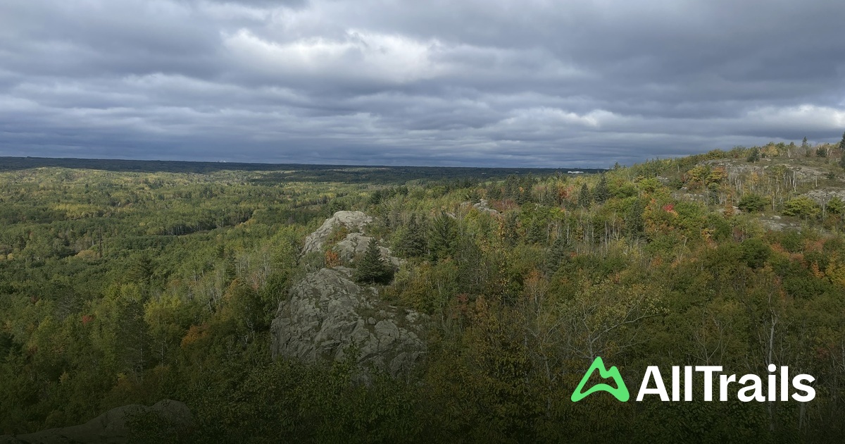 Bardon Peak Overlook - hikes and trails to get you there | AllTrails