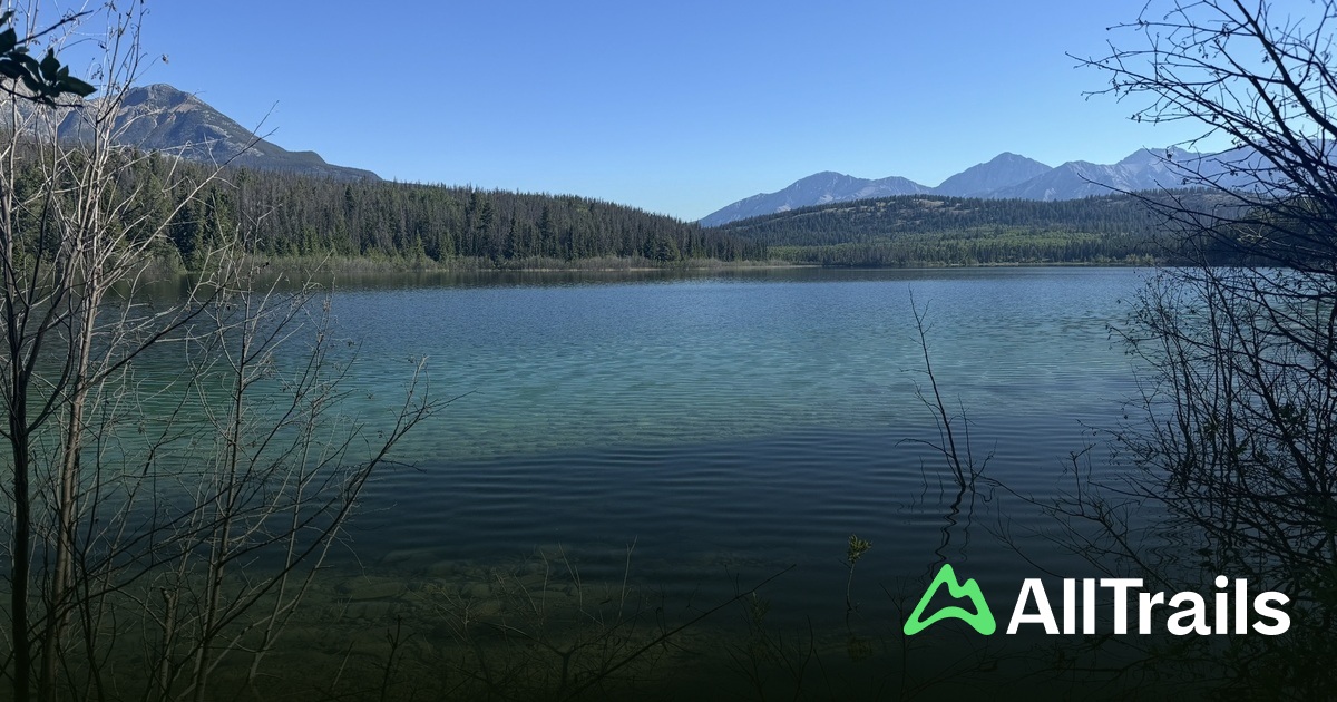 10 Best trails near Patricia Lake | AllTrails
