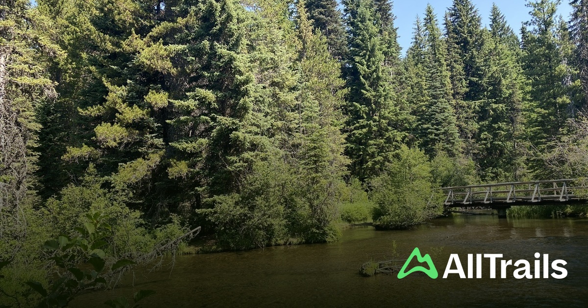 North Arm Campground - hikes and trails to get you there | AllTrails