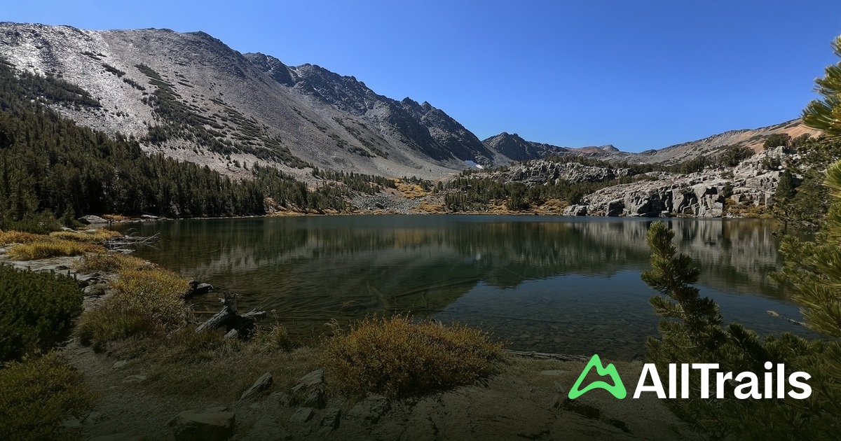 Cooney Lake - hikes and trails to get you there | AllTrails