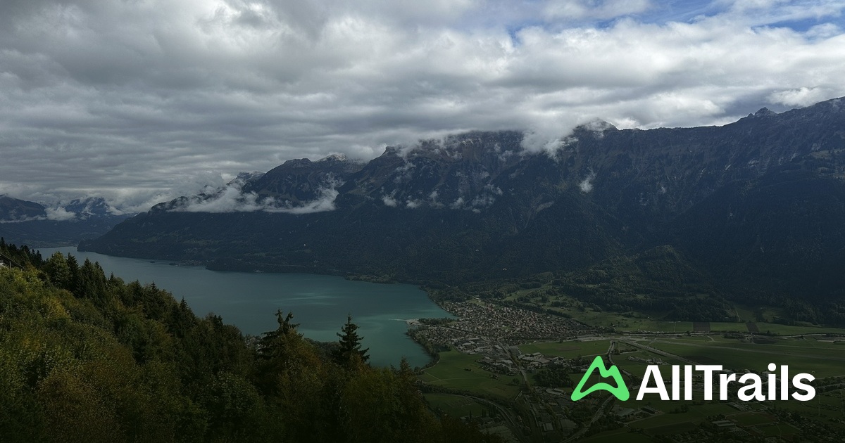 Schloss Unterseen - hikes and trails to get you there | AllTrails