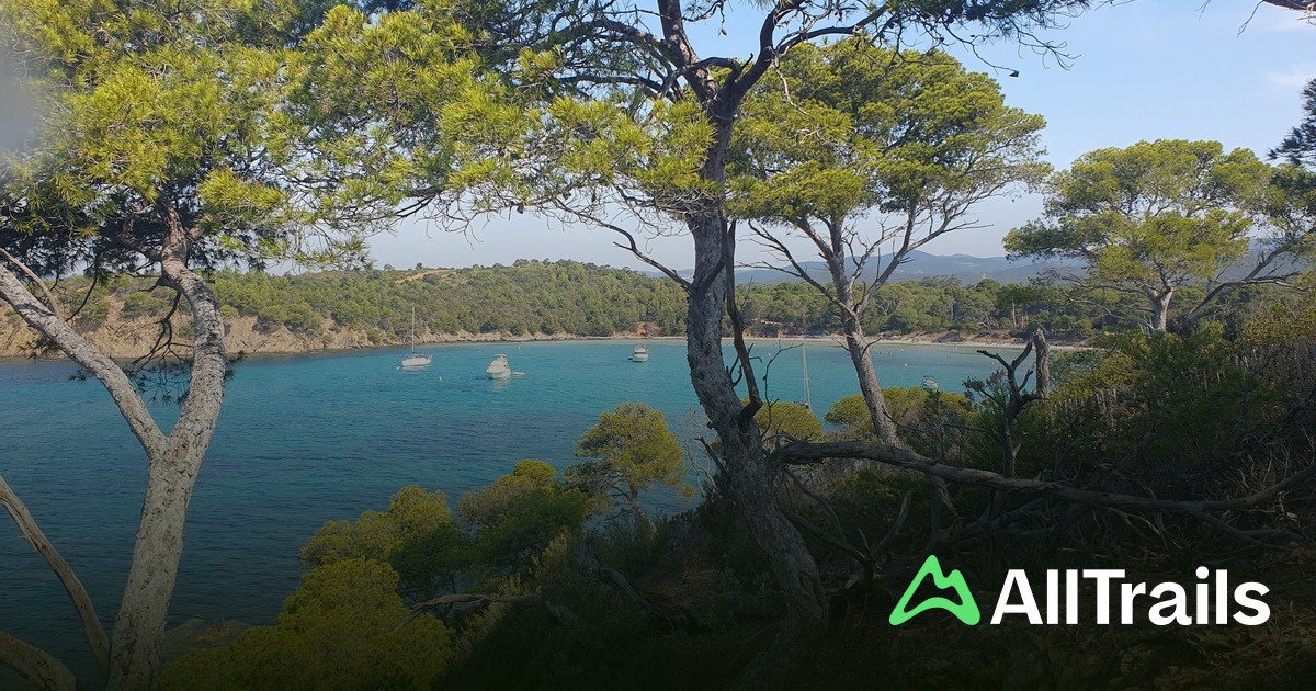 Fort de Brégançon - hikes and trails to get you there | AllTrails