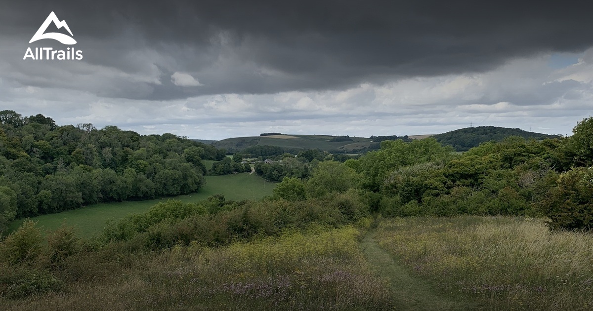 Butser Hill - hikes and trails to get you there | AllTrails