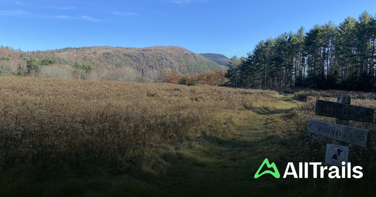 Megunticook Lake - hikes and trails to get you there | AllTrails