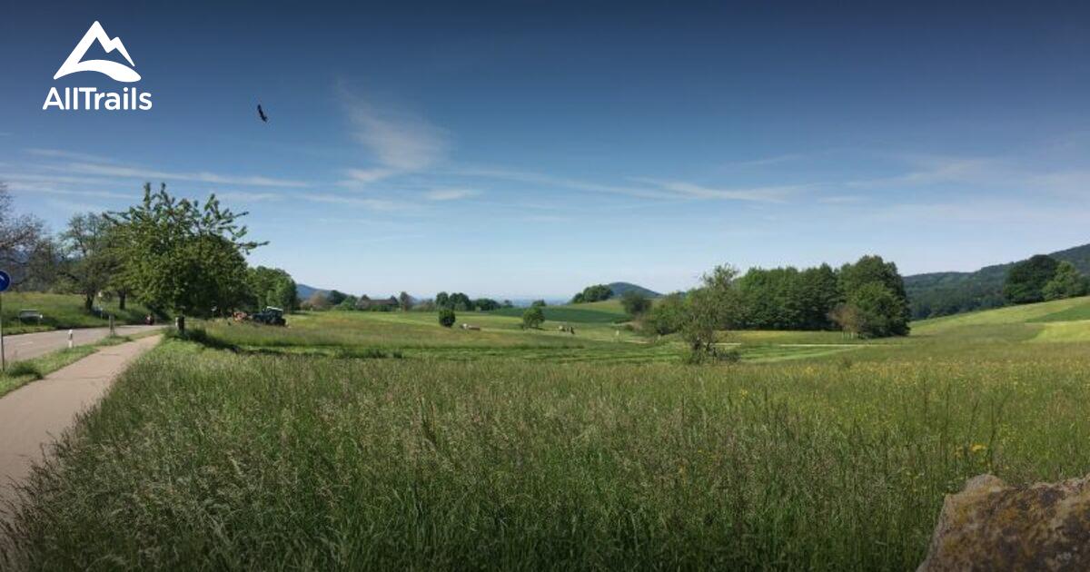 Rebberg Biengen - hikes and trails to get you there | AllTrails