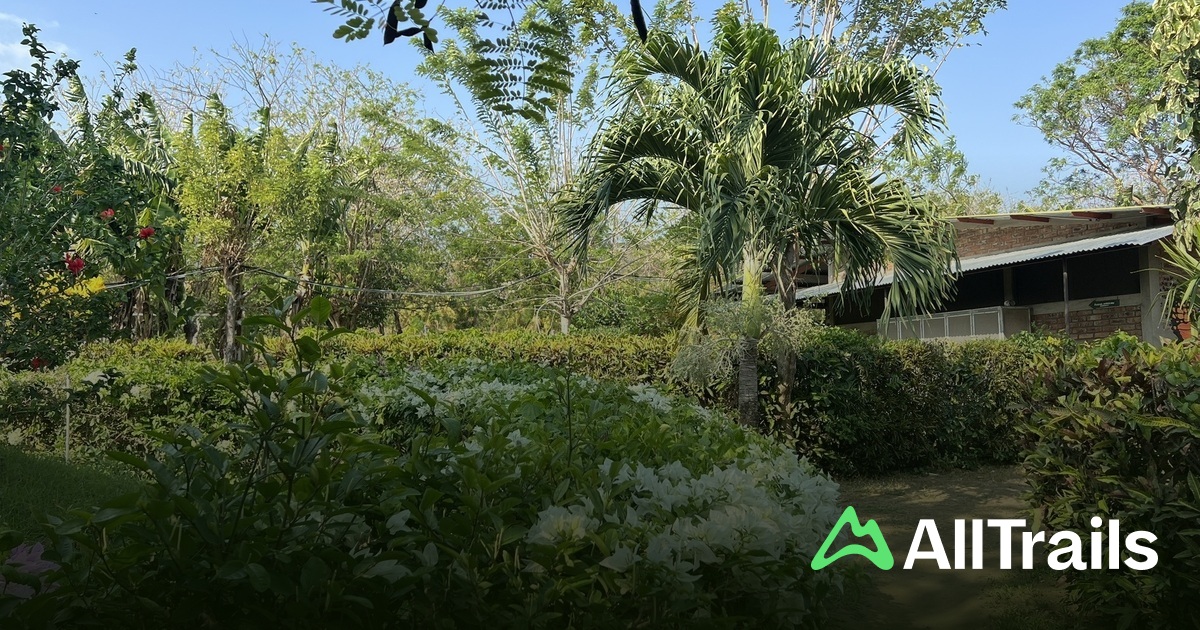 Playa Santo Domingo - hikes and trails to get you there | AllTrails