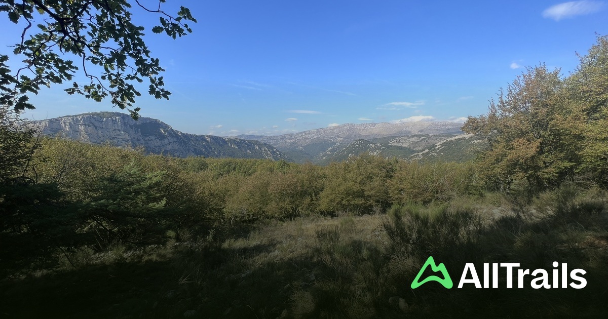 Abbaye du Canadel - hikes and trails to get you there | AllTrails