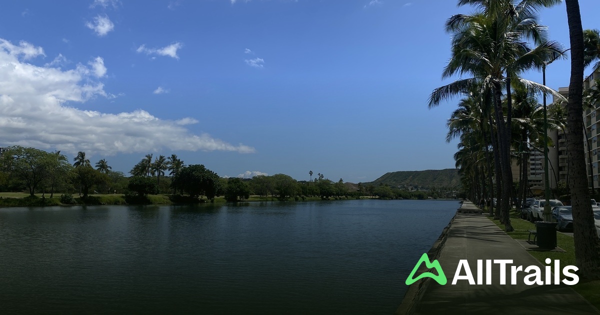 Ala Wai Canal - hikes and trails to get you there | AllTrails