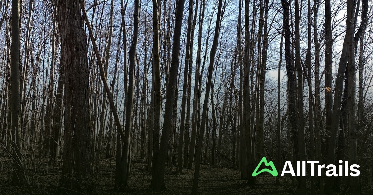 Eagle Pond - hikes and trails to get you there | AllTrails