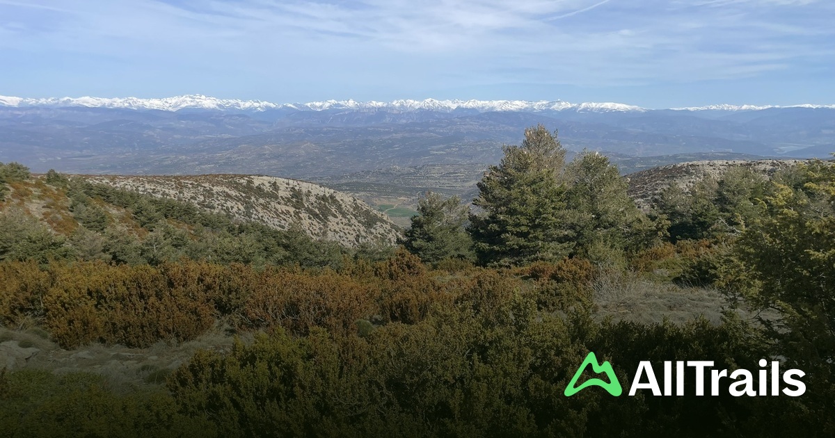 Graller del Coll de Sant Alís : les meilleures randonnées | AllTrails