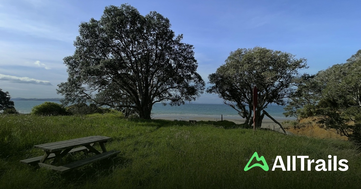 Tawhitokino Beach - hikes and trails to get you there | AllTrails