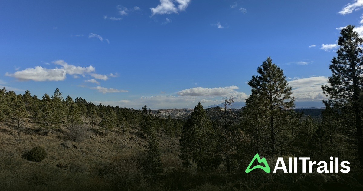 Singletree Campground - hikes and trails to get you there | AllTrails