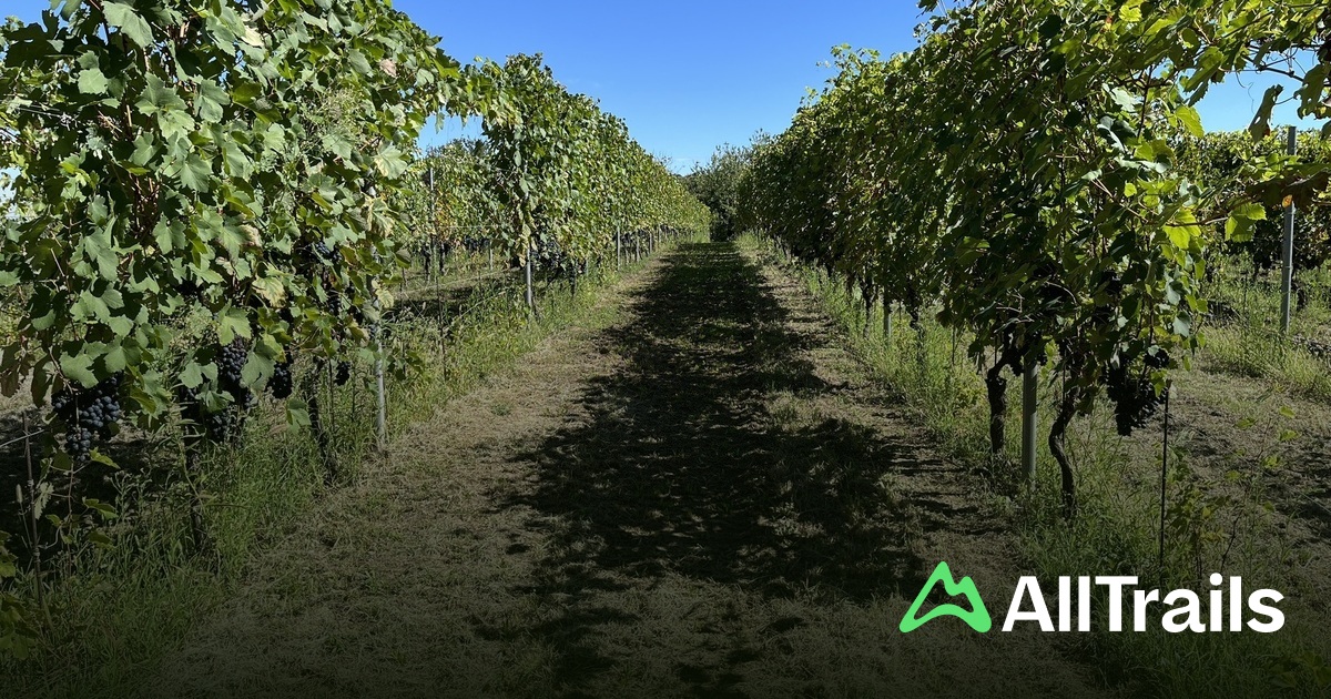 Castello di Guarene - hikes and trails to get you there | AllTrails