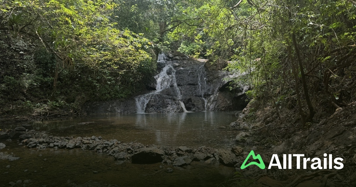 Best trails near Torio Waterfall | AllTrails