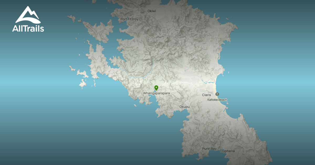 Kauri Falls - hikes and trails to get you there | AllTrails