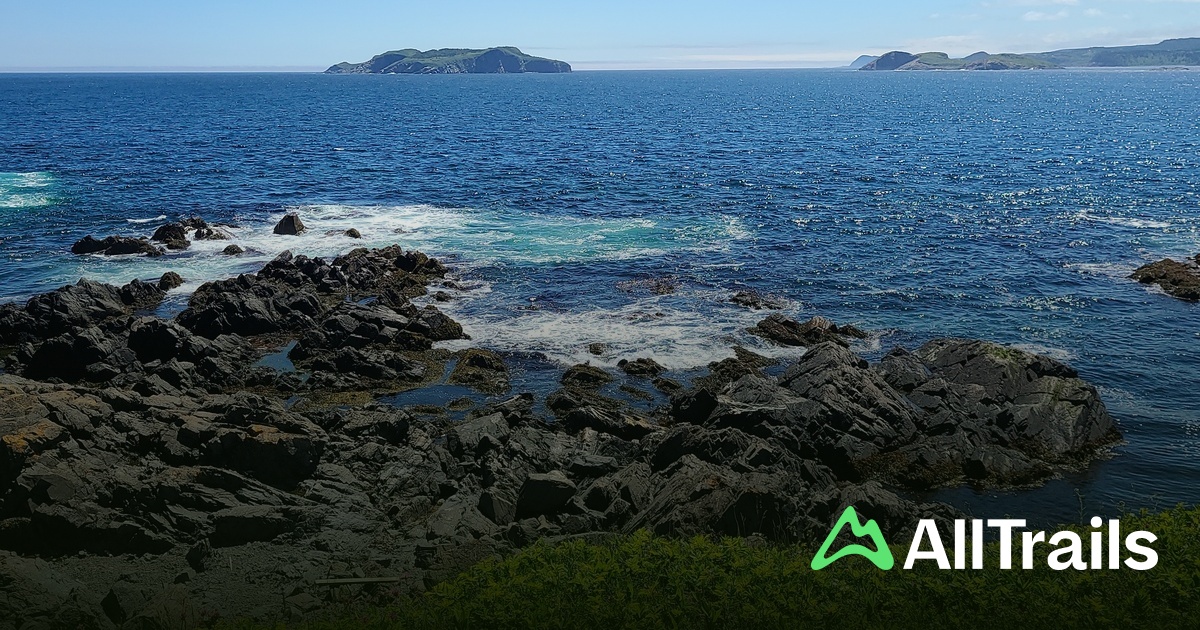 Whales Cove - hikes and trails to get you there | AllTrails