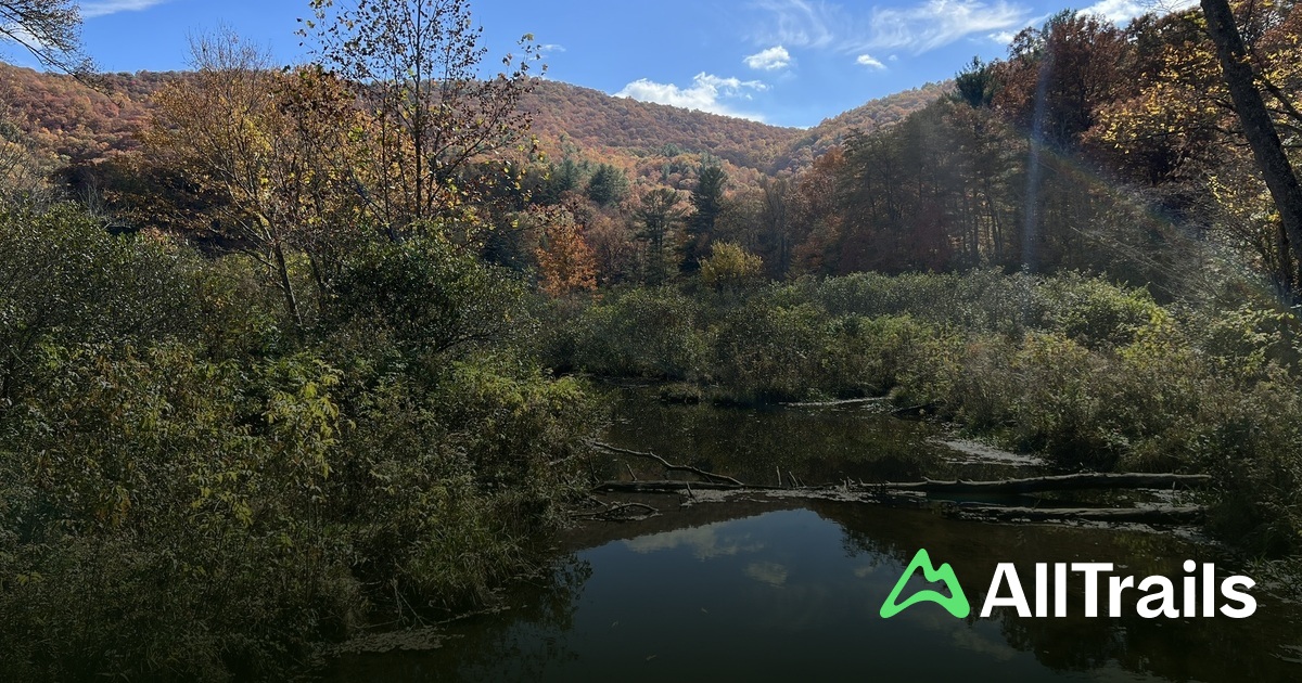 Native Azalea Garden - hikes and trails to get you there | AllTrails