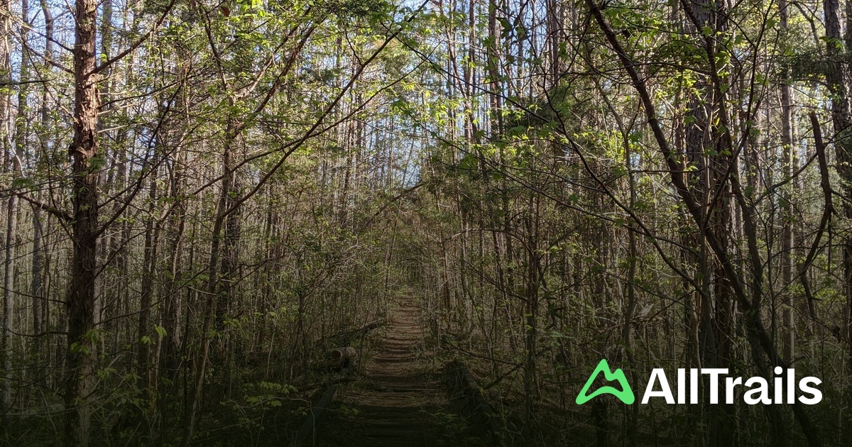 Ward Family Campground - hikes and trails to get you there | AllTrails