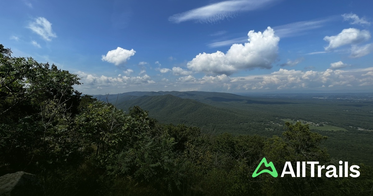 Cedar Cliffs - hikes and trails to get you there | AllTrails