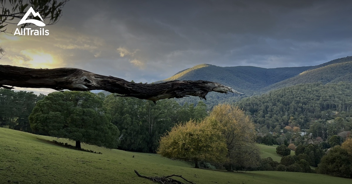 Mount Donna Buang - hikes and trails to get you there | AllTrails