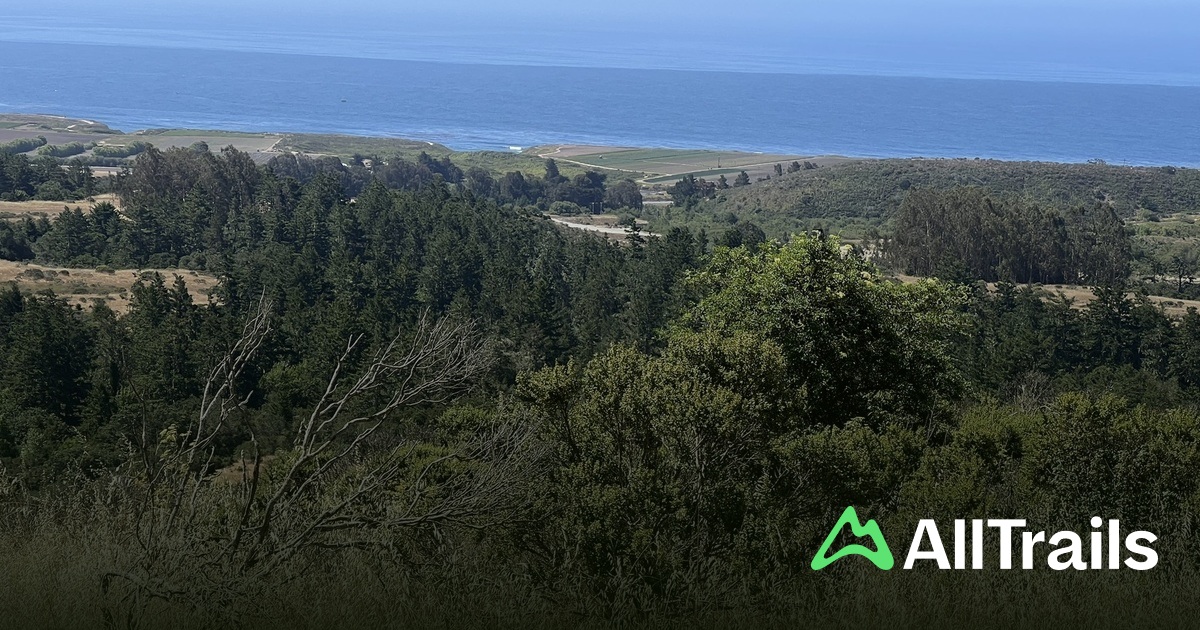 Four Mile Beach Viewpoint - hikes and trails to get you there | AllTrails