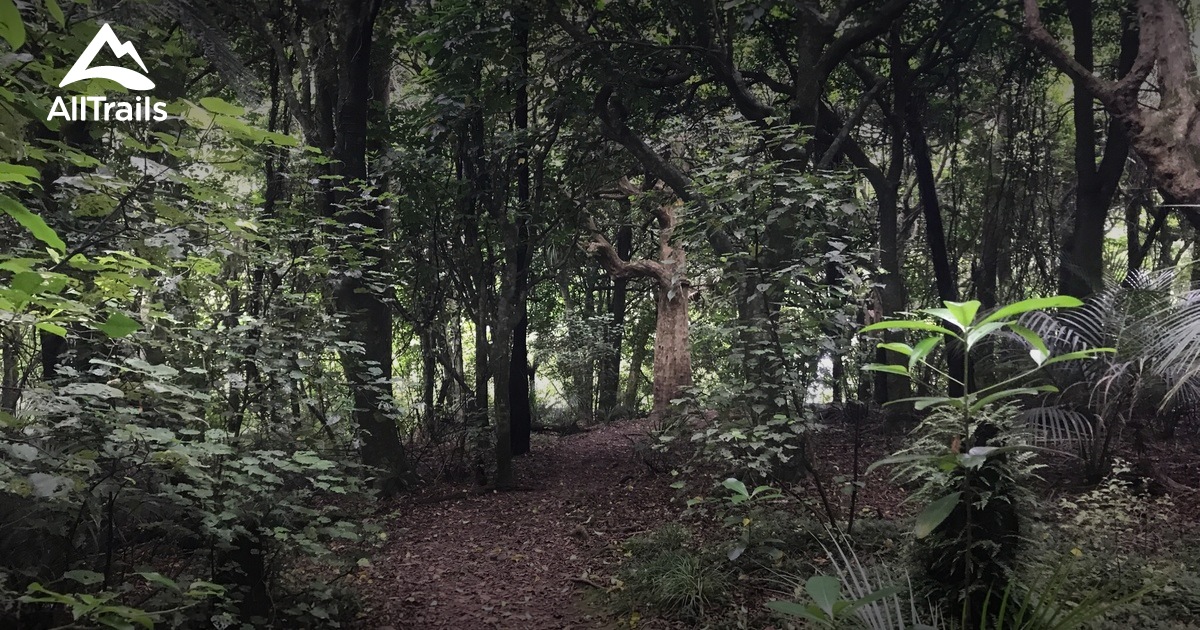 Maketu Waterfall: Die besten Routen in der Umgebung | AllTrails