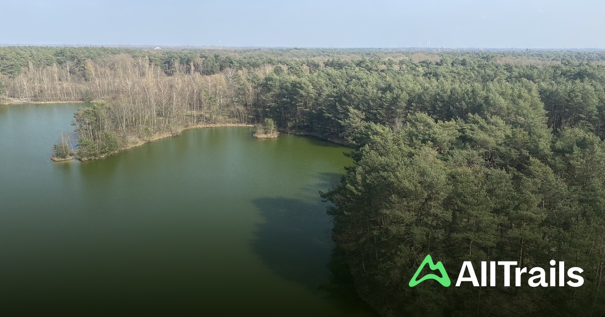 Bästa lederna nära Lommelse Sahara | AllTrails
