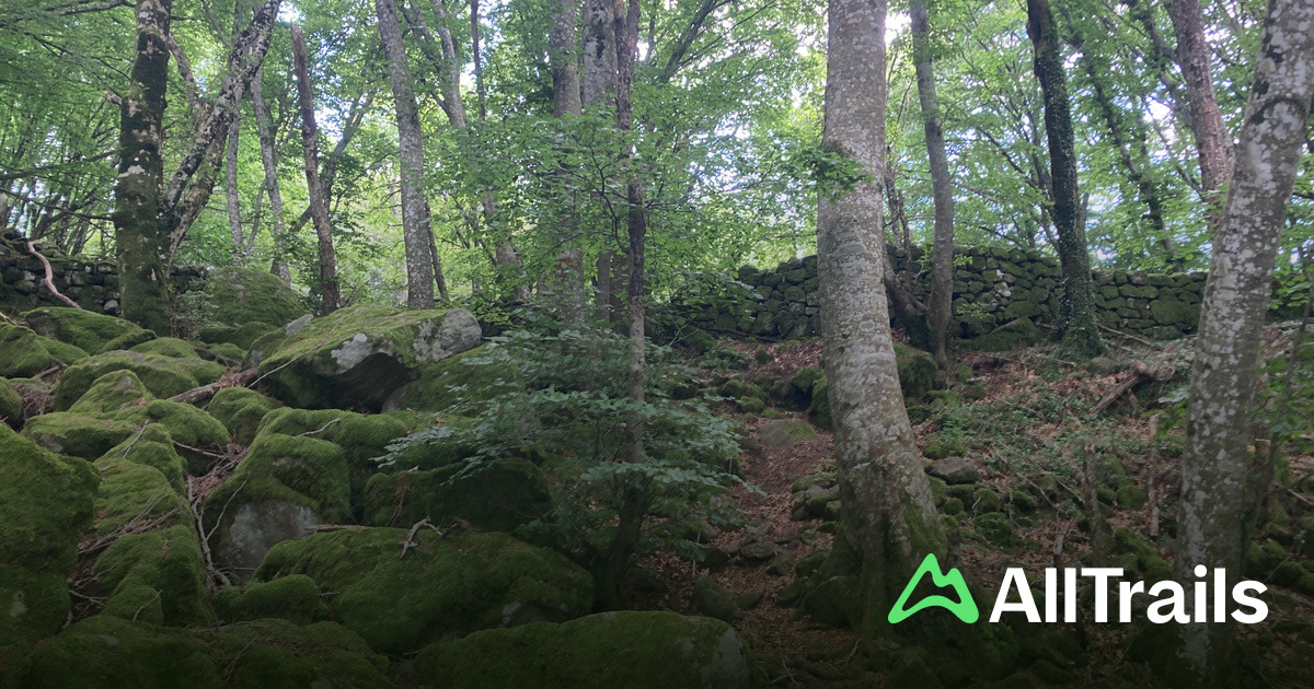 Poggio Sciamarcello - hikes and trails to get you there | AllTrails