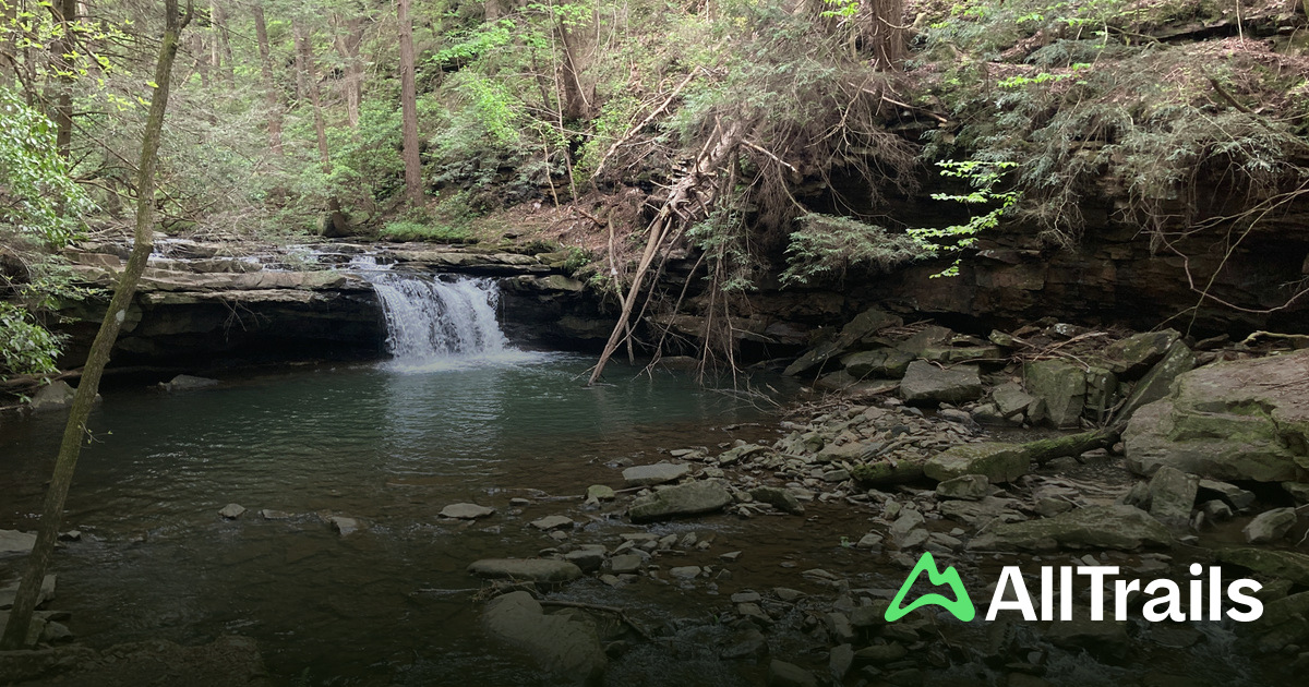 RAVEN POINT - hikes and trails to get you there | AllTrails