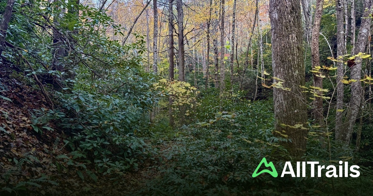 Hell Hollow Falls - hikes and trails to get you there | AllTrails