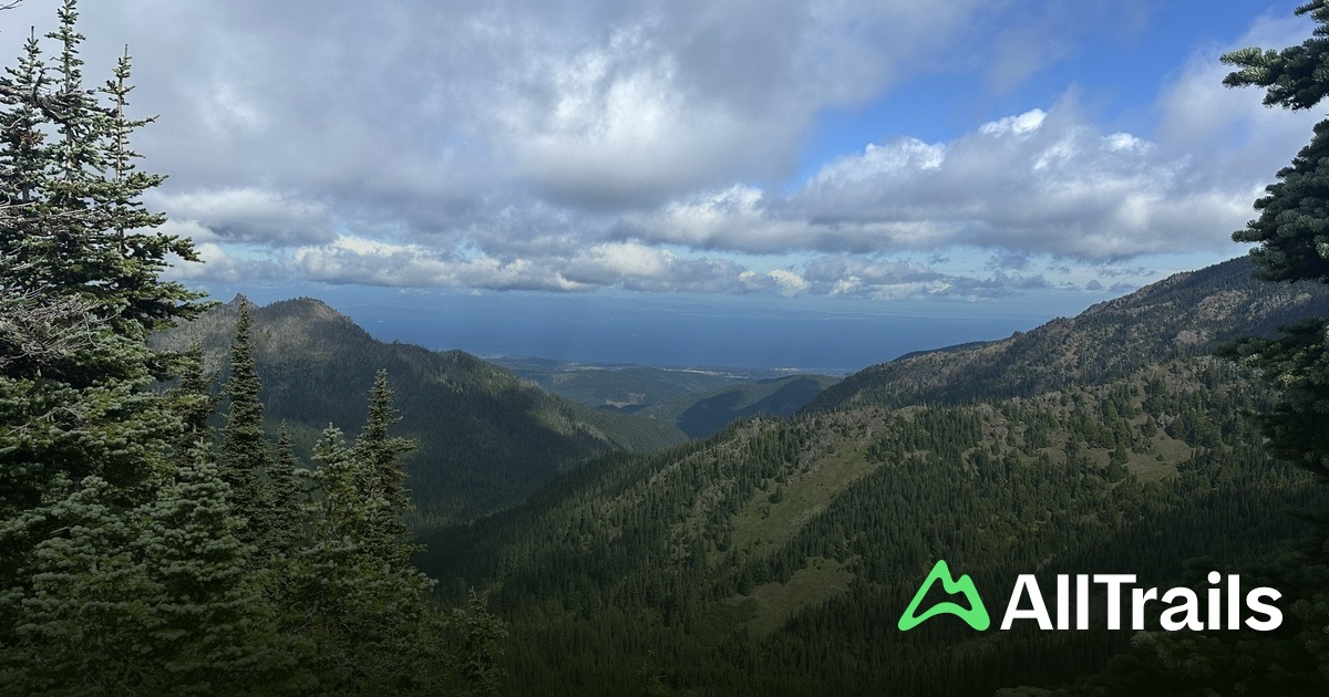 Sunrise Viewpoint - hikes and trails to get you there | AllTrails