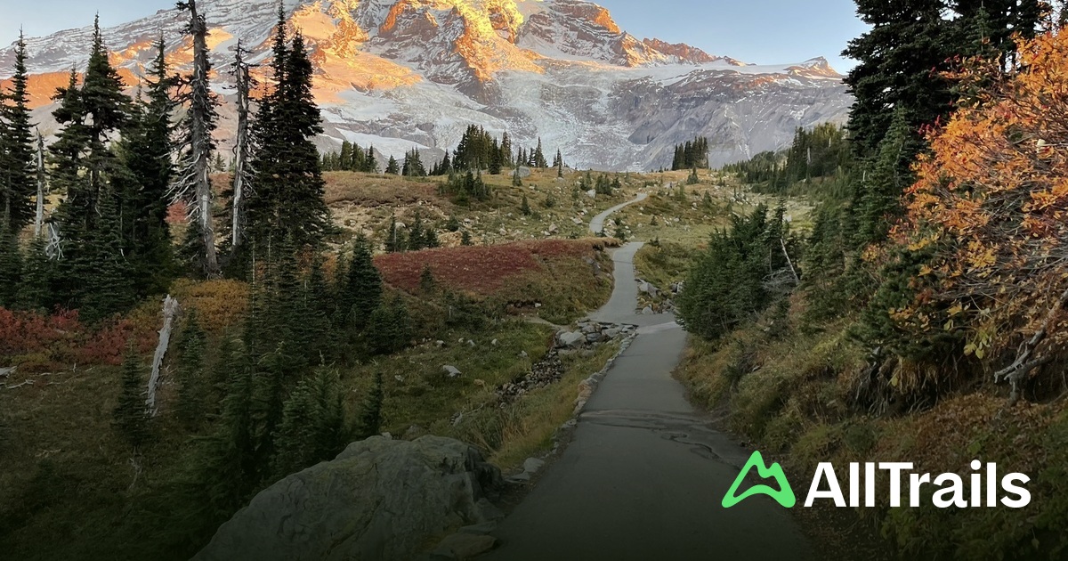Camp Muir - hikes and trails to get you there | AllTrails