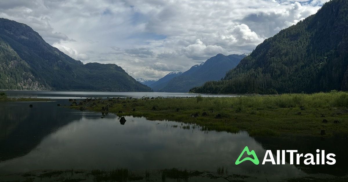 Buttle Lake Campground - hikes and trails to get you there | AllTrails