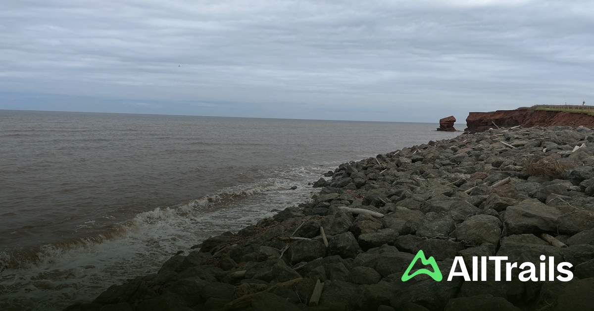 North Rustico Harbour - hikes and trails to get you there | AllTrails