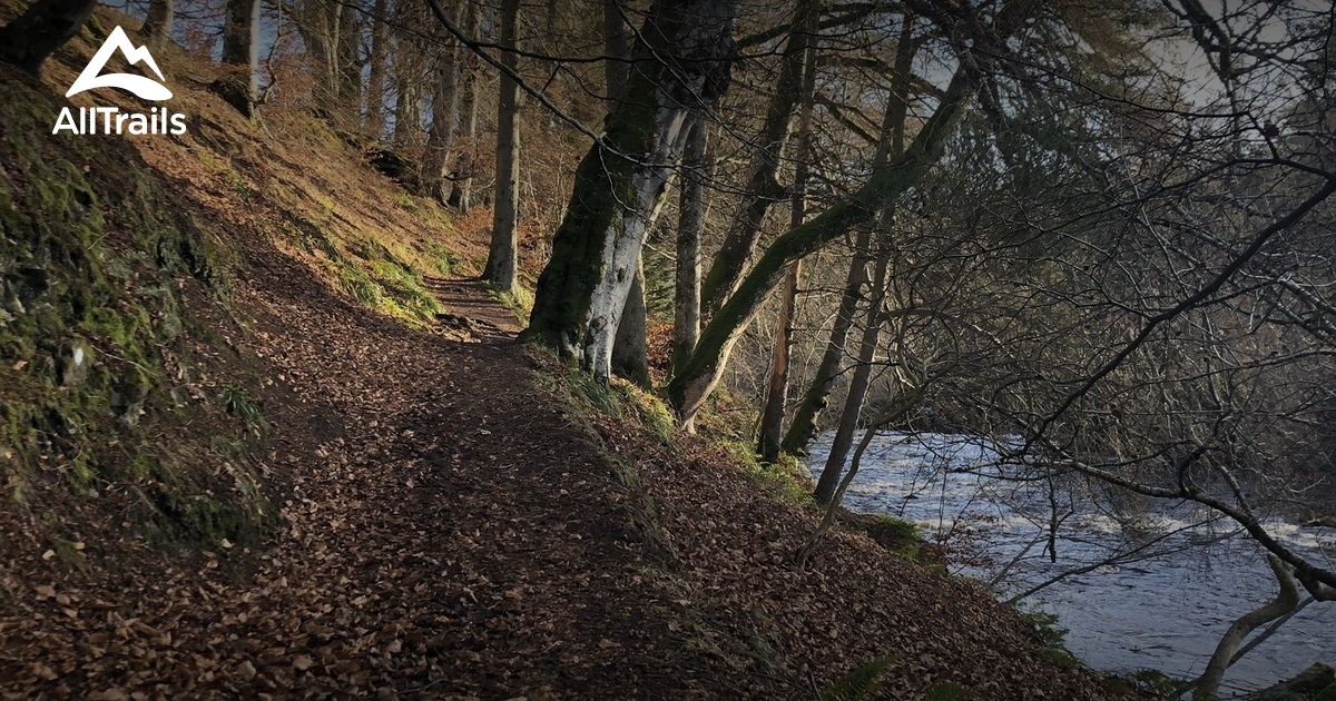 Reekie Linn - hikes and trails to get you there | AllTrails