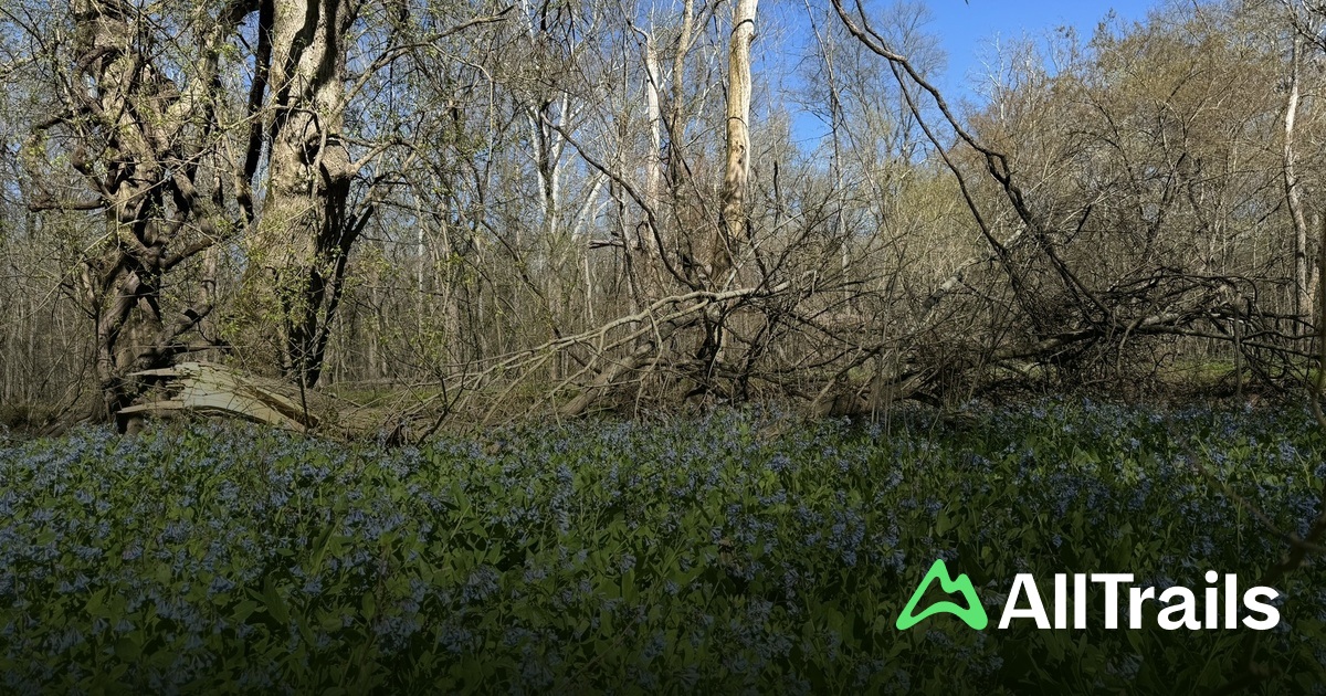 Bull Run - hikes and trails to get you there | AllTrails